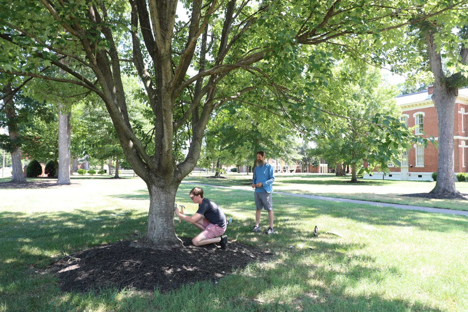 Randolph-Macon’s Campus Officially Accredited as Arboretum - Randolph ...